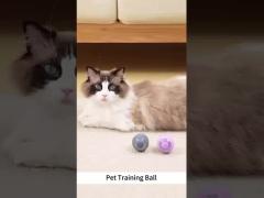 Calcio di allenamento per animali ecologici impermeabile resistente all'acqua allenamento multi-sport