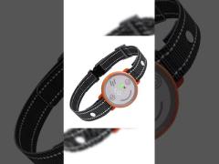 Shock Collar App Control Bluetooth GPS Tracking Durable Social Media Sharing