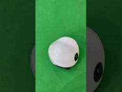 Telecamere di monitoraggio per animali domestici wireless con risoluzione HD IP67, telecamera di sicurezza a lunga durata