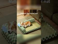 Sleep Tracking Rechargeable Heated Noise-Canceling Cat Bed Self-Cleaning Surface