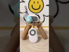 Emotional Pet Companion Robot Portable Educational Voice Control Robot sociale