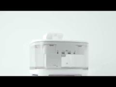 A Closer Look: Pet Drinking Machine Stainless Steel Base Child Safety Lock Portable Design