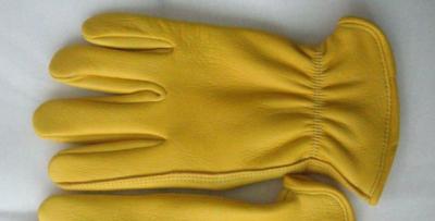 China deer leather glove for sale