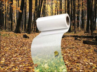 China Bridge Film PLA biodegradable plastic for sale