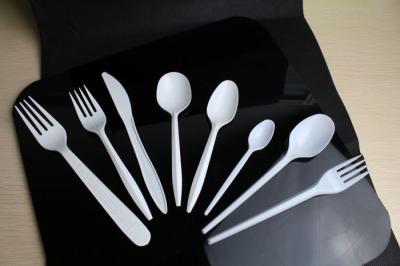 China Biodegradable Plastic Spoon for sale