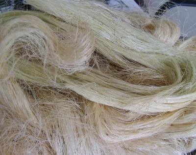 China 100% natural raw Sisal fiber for sale