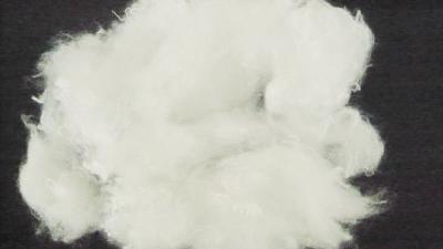 China compostable PLA fiber for sale