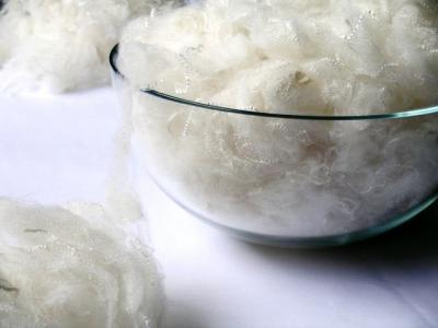 China PLA fibre for sale