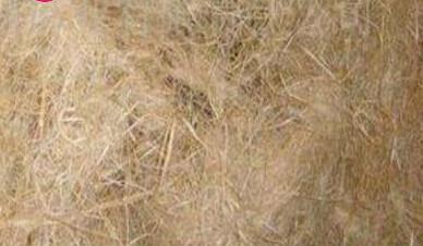 China linen fiber yarn waste and noil for sale