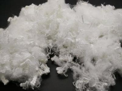 China 1.2DX51MM white siliconized hollow staple fiber feather fiber for sale