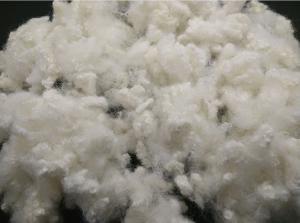 China 15DX51MM PETchip staple fiber non siliconized 100%polyester for sale