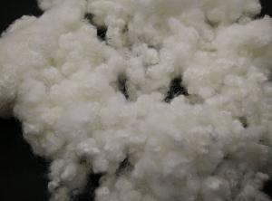 China 15DX32 siliconized recycled hollow conjugated staple fiber superwhite for sale