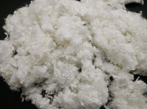 China 2.5D*32MM siliconized raw white hollow conjugated polyester staple fiber for sale