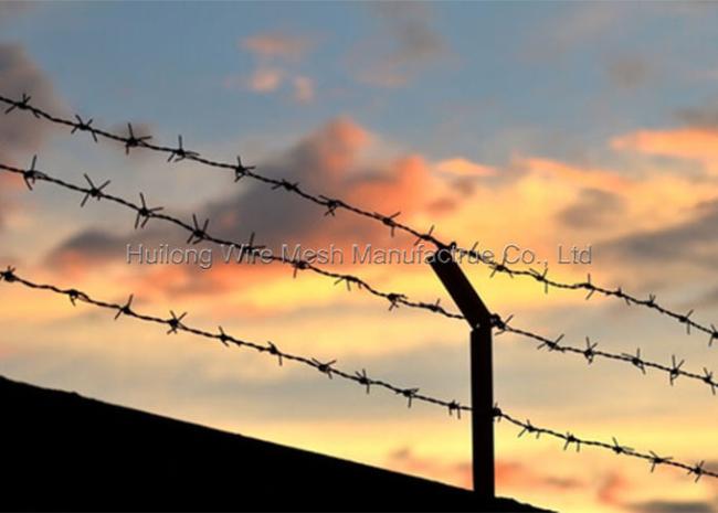 High Tensile Strength Prison Barbed Wire , Airport Razor Wire Coil 2
