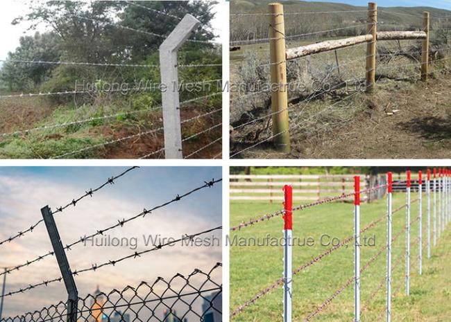 High Tensile Strength Prison Barbed Wire , Airport Razor Wire Coil 3