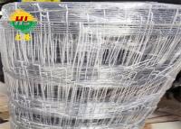 China Rectangular Farm Field Galvanized Deer Fence For Cattle Goat Sheep Packed On Pallet for sale
