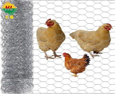 中国 チキンクープ 熱付六角線網 3/4 インチ*1.2m*30m 販売のため