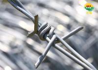 China Double Twisted Galvanized Iron Barbed Wire 200m Length Roll for sale