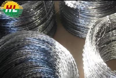 中国 600mm ホットディプ バルナライズド ナイザー 刺線 保護網 販売のため