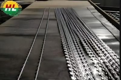 中国 600mm ホットディプ バルナライズド ナイザー 刺線 保護網 販売のため