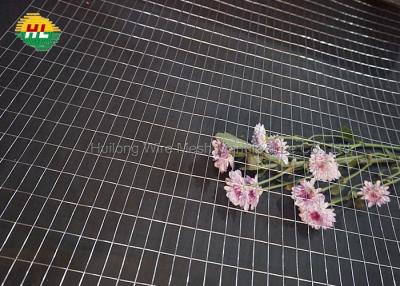 China Galvanized 1/2