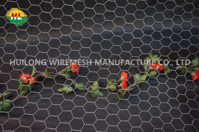 China Lightweight Galvanised Hexagonal Netting 48 Inches X 50 Feet X 1 Inch Mesh for sale