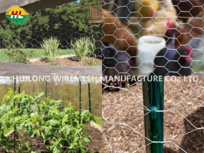 中国 電流を通された鋼鉄六角形ワイヤー網1.2x25x0.9mm 販売のため