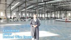 Concertina Razor Barbed Wire Egoza Razor Wire Razor Barbed Wire Security Fence
