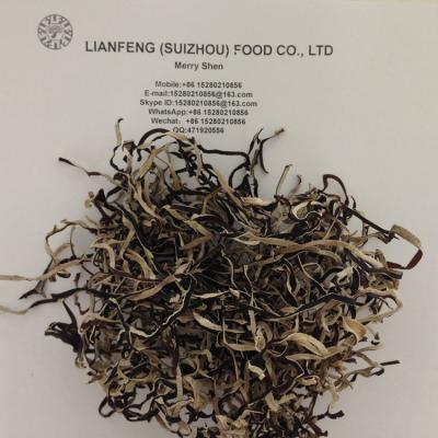 China Factory Price Bulk Dried White Back Black Fungus Slice with 2 MM Width for sale