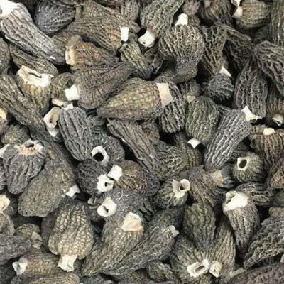 China Factory Price Cultiavated Cap 3-8CM Dried Morel Mushroom without Stem for sale