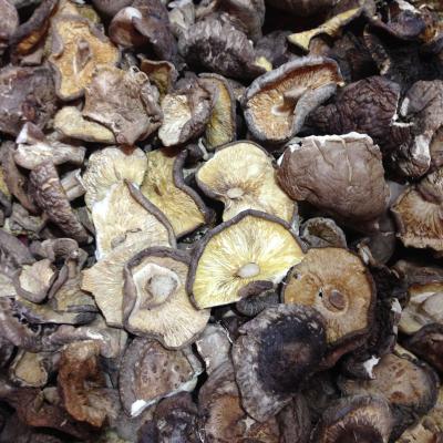 China Factory Price Organic Dried Mushroom Shiitake Broken Whole in Bulk for sale
