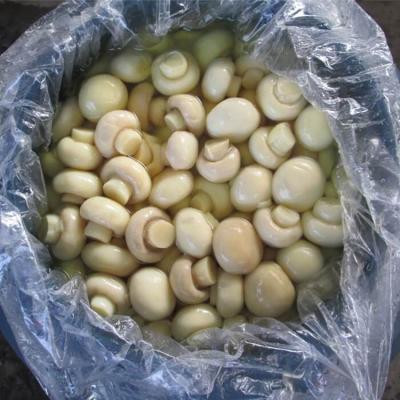 China Factory Price Premium Bulk Brined Whole Mushroom in Drum for sale