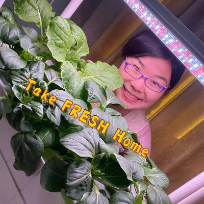 China Home Indoor Led Light NFT Hydroponics System Grow Kit 3 Layer 42 Pod White Vertical Garden Planter for vegetables for sale