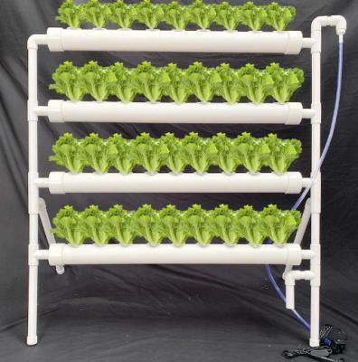 China Indoor Home Garden 4 Layers 36 Holes Small Complete Hydroponics Growing System Kit for Lettuce Vegetables for sale