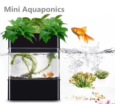 China Home Mini Hydroponics Aquaponics Plant Growing Systems with Fish Tank for sale
