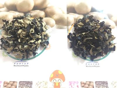 China Factory Price Two Kinds of Dried White Back Black Fungus Mushroom Dices (Cubes) for sale