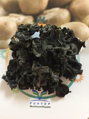 China Factory Price Thin Dried Black Fungus Mushroom Whole 2.5CM above from Northeast for sale