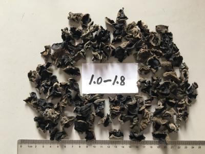 China Factory Price Bulk Dried Black Fungus Mushroom Whole 1.0-1.8CM from Northeast for sale