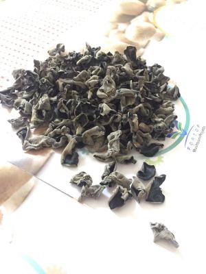 China Factory Price Premium Quality AAA Grade Dried Black Fungus (Size:1.0-1.8cm,1.8-2.5cm,2.5cm above) for sale