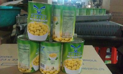 China Factory Price NEW SEASON FORTOP BRAND Canned Mushroom Whole in Brine N.W.800G,D.W.400G for sale