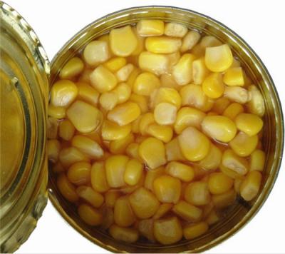 China Factory Price New Season Vegetarian Tinned Yellow Sweet Corn in Brine Professional Supplier for sale