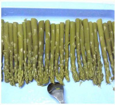 China Factory Price Premium Fresh Canned Green Asparagus in Brine for sale
