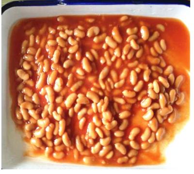 China Factory Price Premium China Canned White Kidney Bean in Tomato Sauce for sale