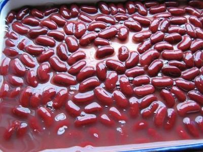China Factory Price Premium China Canned Red Kidney Bean for sale