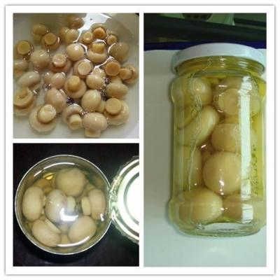 China Factory Price Premium Brined Canned Buttom Mushroom Whole in Tin/In Glass Jar for sale