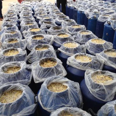 China Factory Price Premium Fresh Drum Mushroom Slice in Brine (30%Slices,3.5-5.0CM) for sale