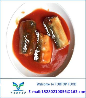 China Factory Price Premium China Canned Mackerel Fish in Tomato Sauce for sale
