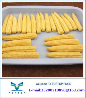 China Factory Price China Fresh Superior Yellow Canned Baby Corn Whole in Brine A10 for sale