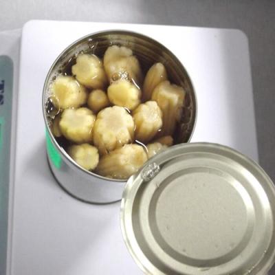 China Factory Price China Fresh Canned Baby Corn Whole in Brine 425G for sale