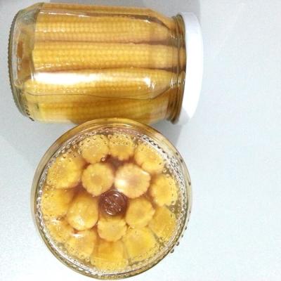 China Factory Price Premiun Healthy Fresh Crop China Brined Canned Baby Corn Whole in Glass Jar for sale